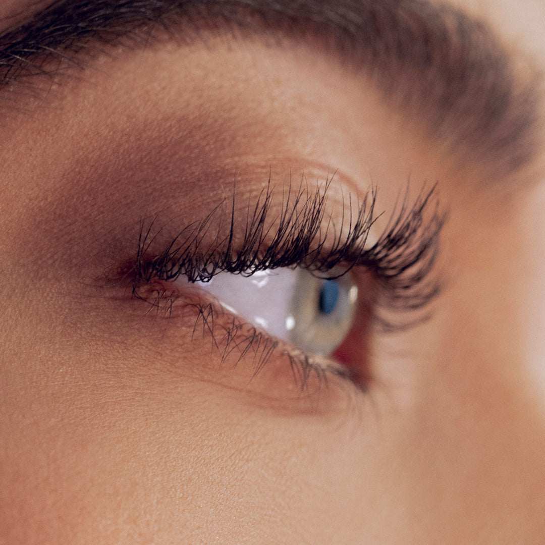 Everything You Need to Know About Your Lash Cycle – RevitaLash New Zealand